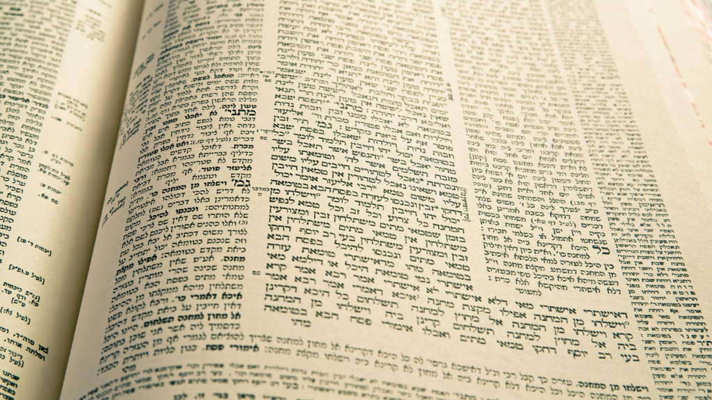 A guide to the Talmud for all the haters – The Forward