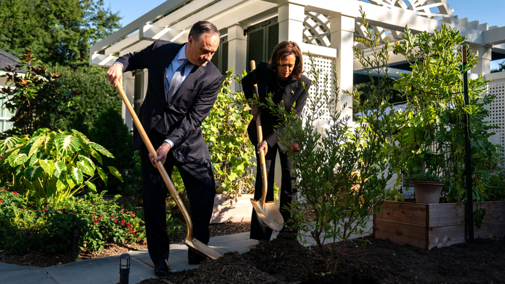 Harris and Emhoff plant pomegranate tree for Oct. 7 victims – The Forward