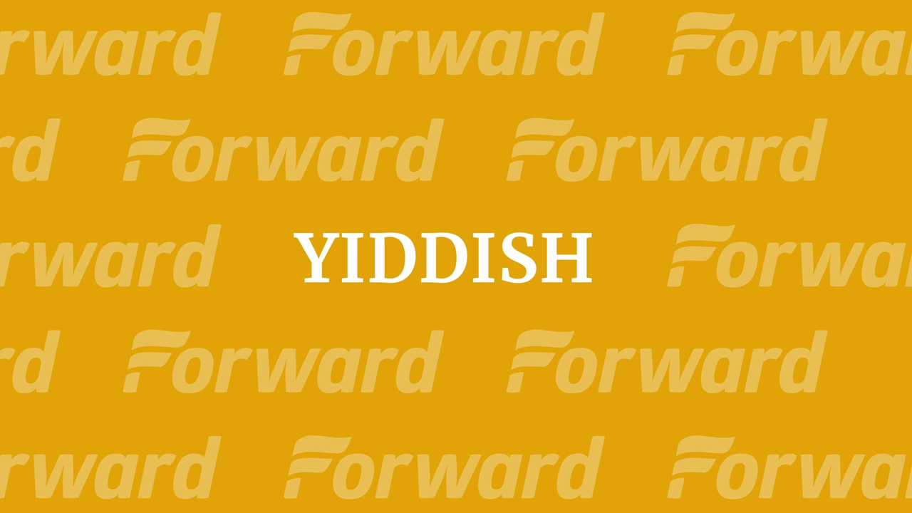 Yiddish-speaking Israeli soldier shows us what he got for Hanukkah ...