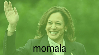 Momala Kamala Harris: The nickname's meaning for Election 2024 – The ...