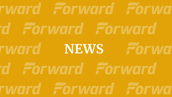 Jewish MSNBC commentator: ‘What is the difference between Hitler and ...