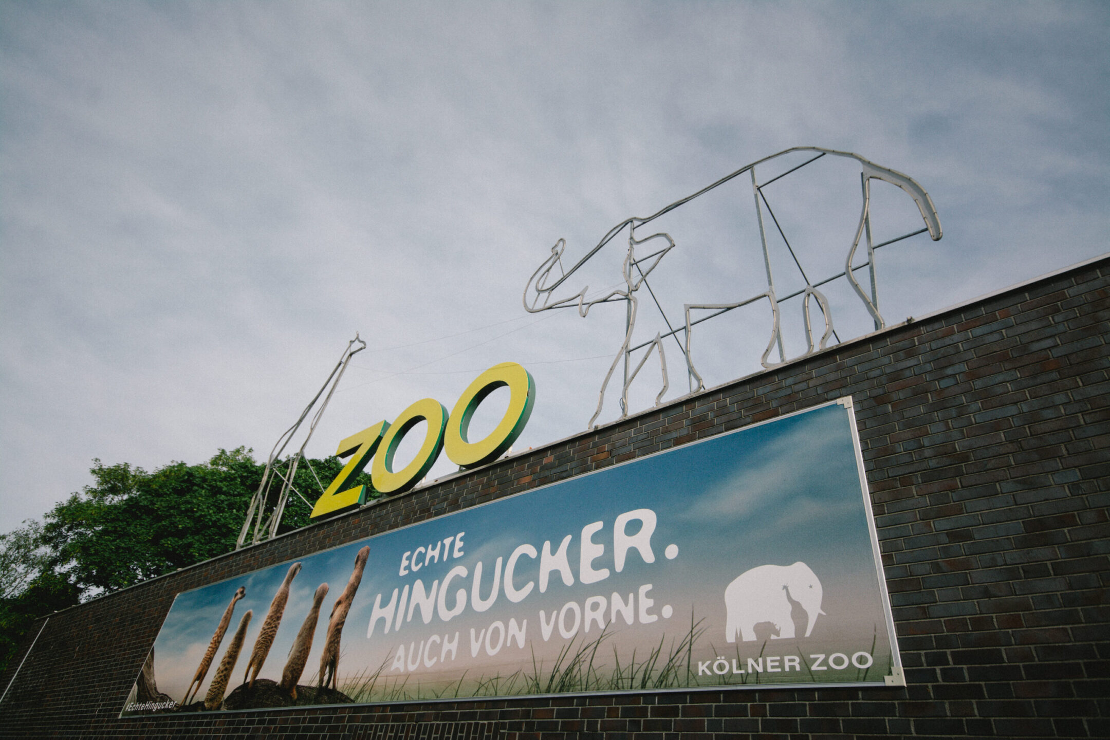 German zoo gets $26 million from widow of animal-loving Holocaust ...