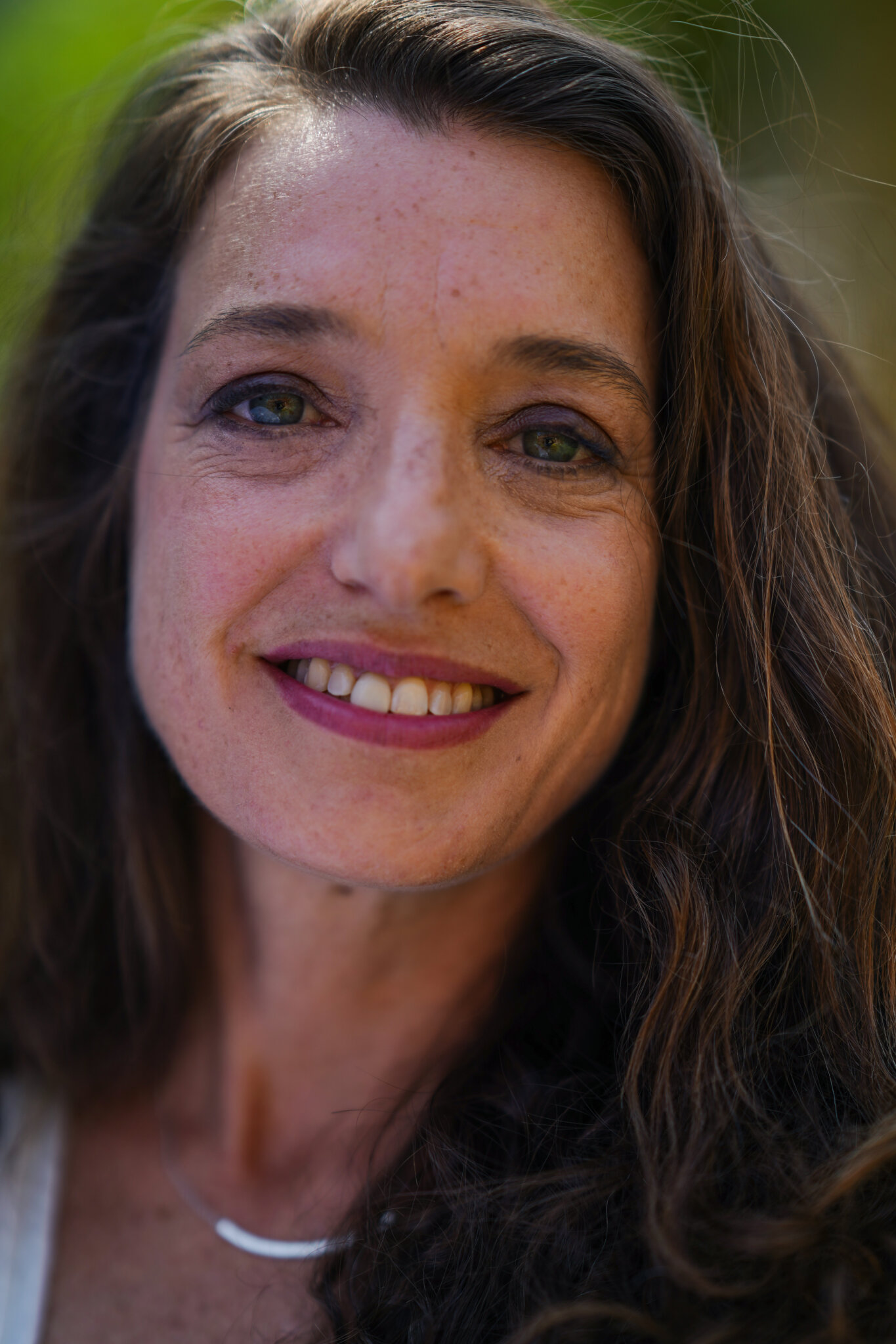 How the Netherlands became a nation of diarists in WWII – The Forward