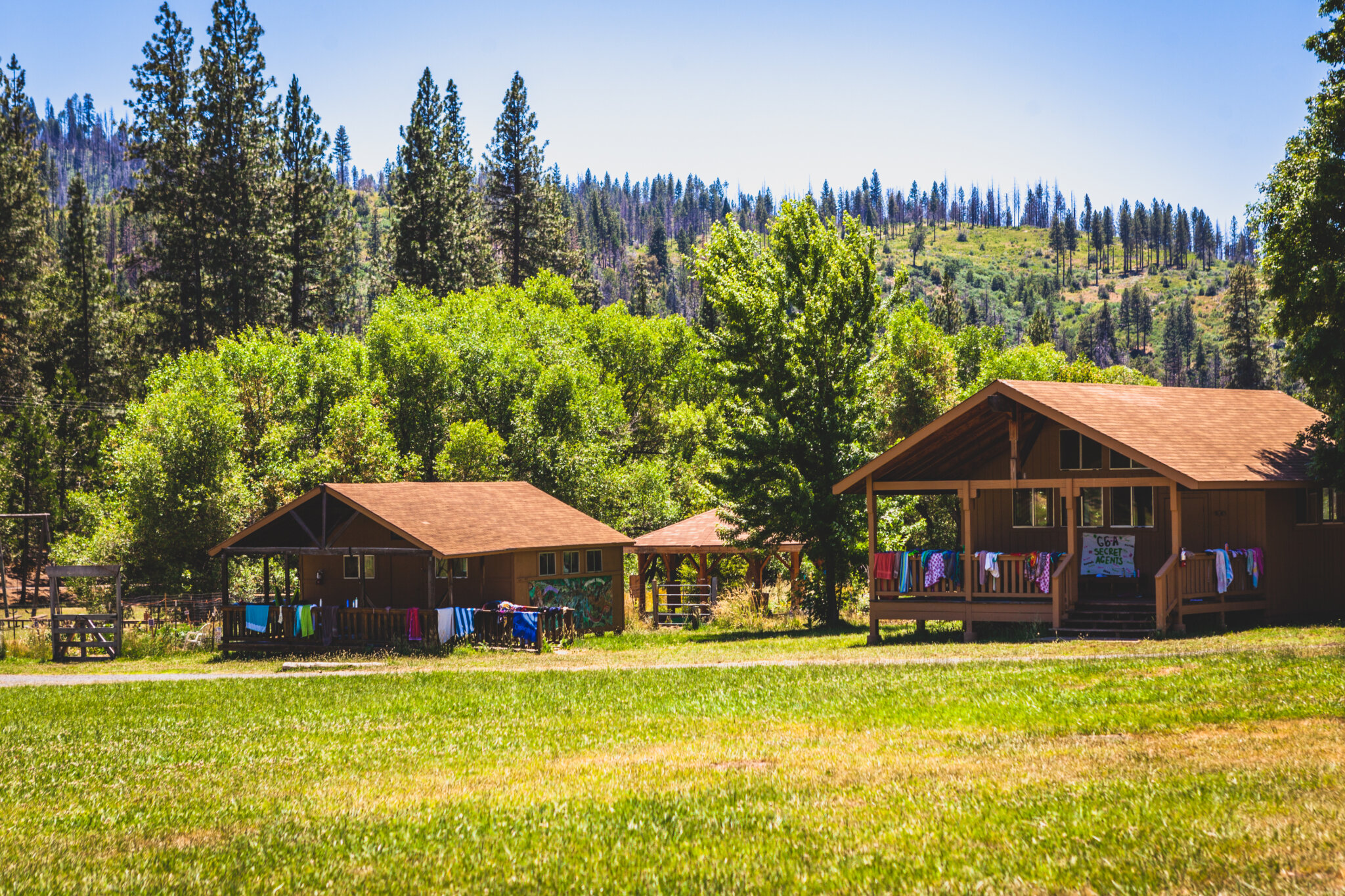 Jewish camps welcome non-binary and trans kids – The Forward