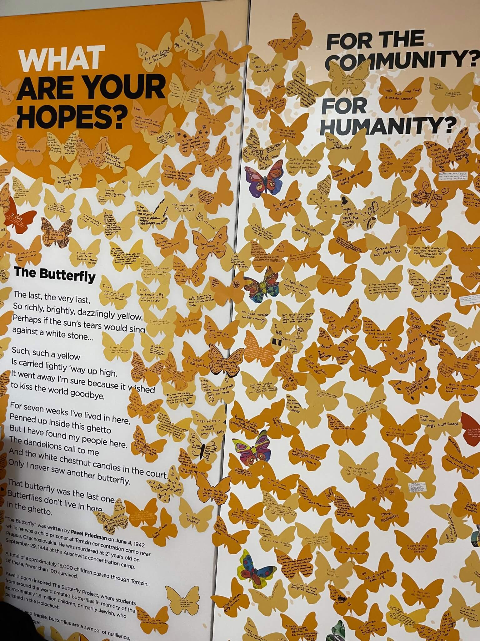 Can this traveling exhibit fix Holocaust education? – The Forward