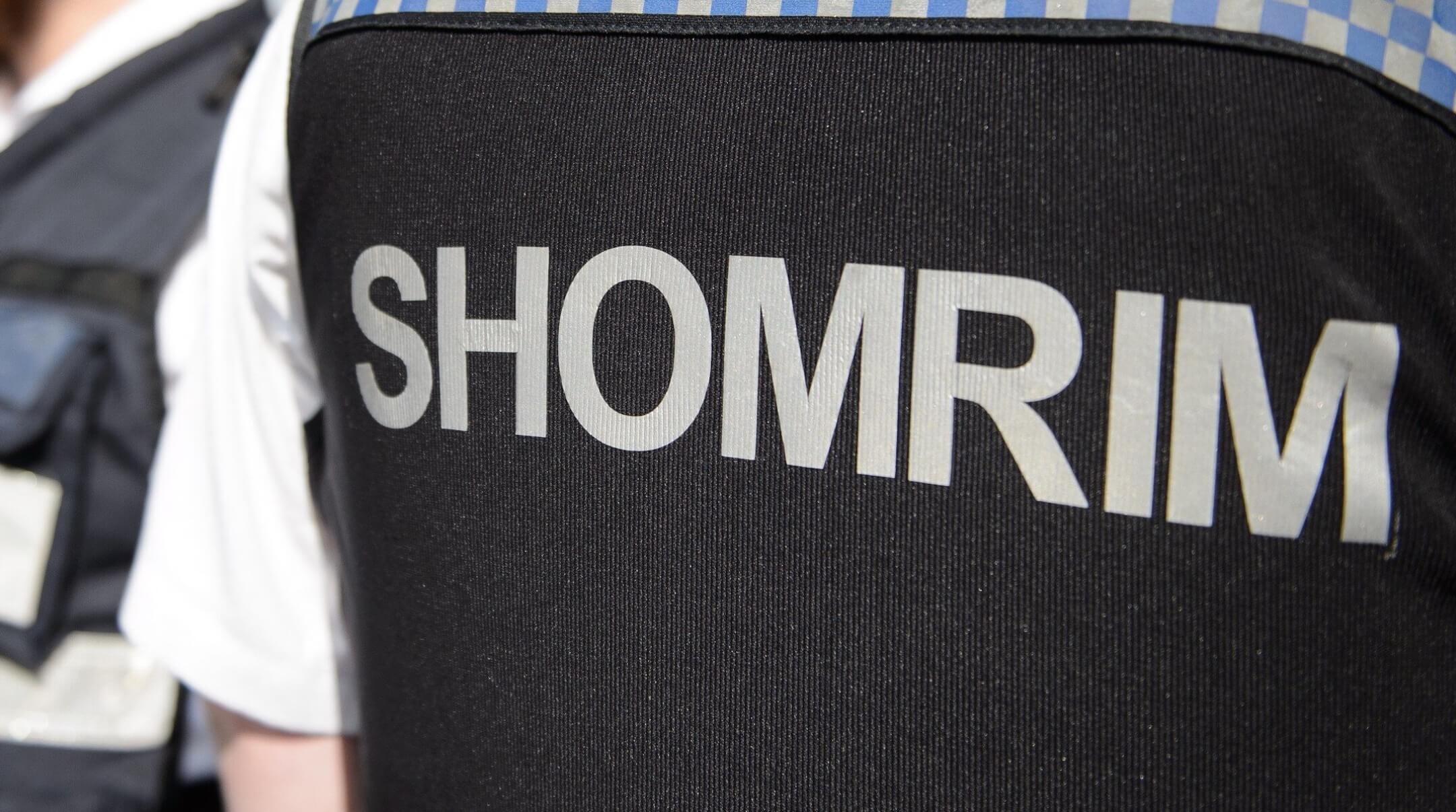 Former Shomrim leader pleads guilty to sex crime involving a teenager ...