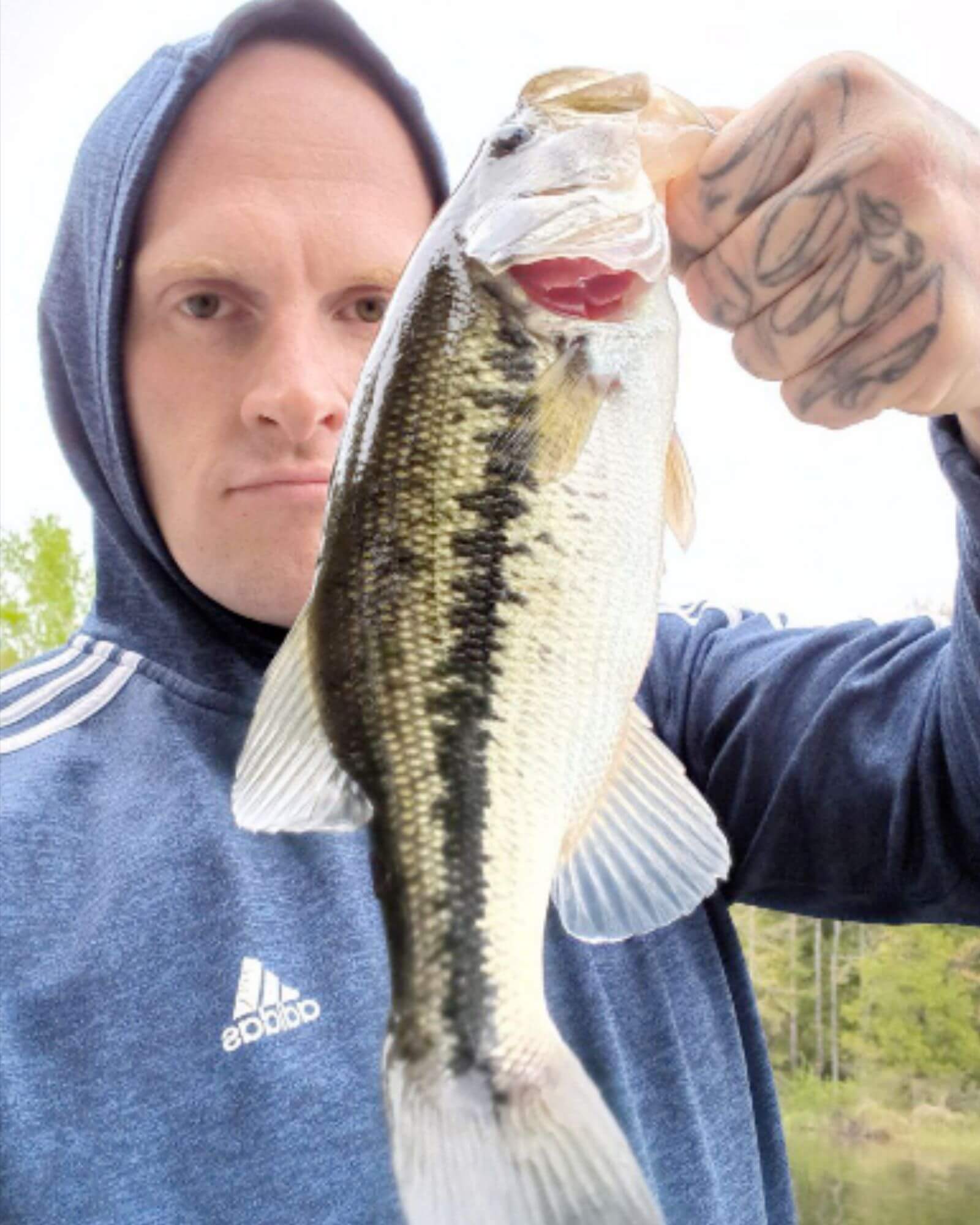 A neo-Nazi is building a compound in rural Maine – The Forward