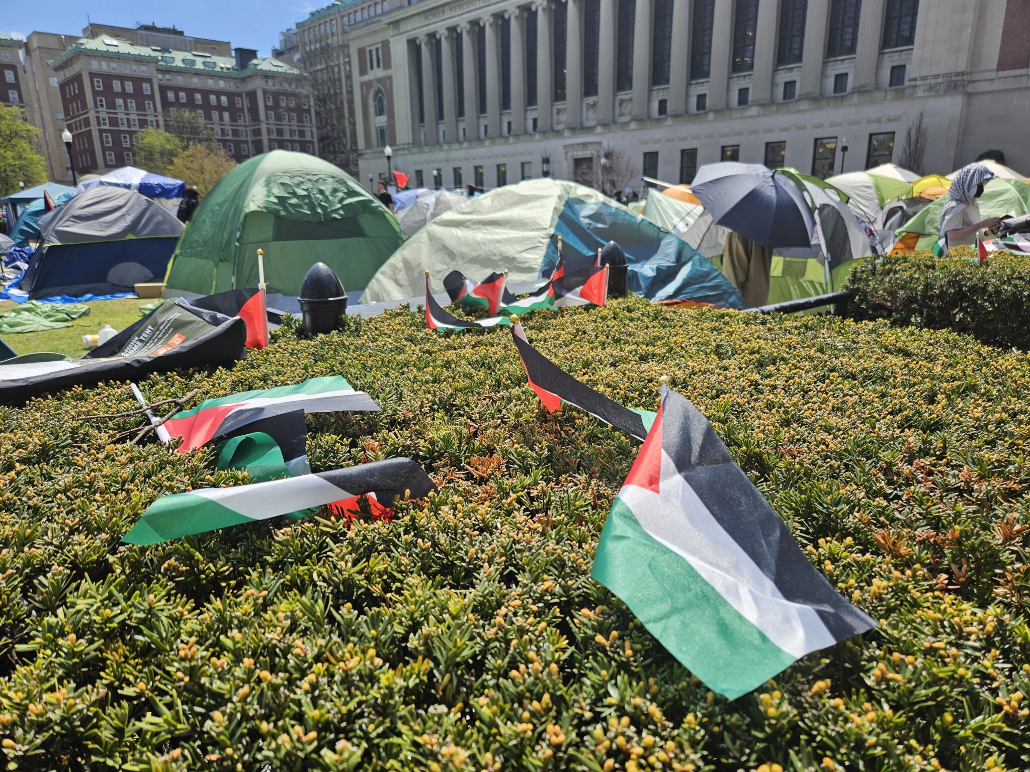 Who's supplying protesters' tents: Agitators or Amazon? – The Forward