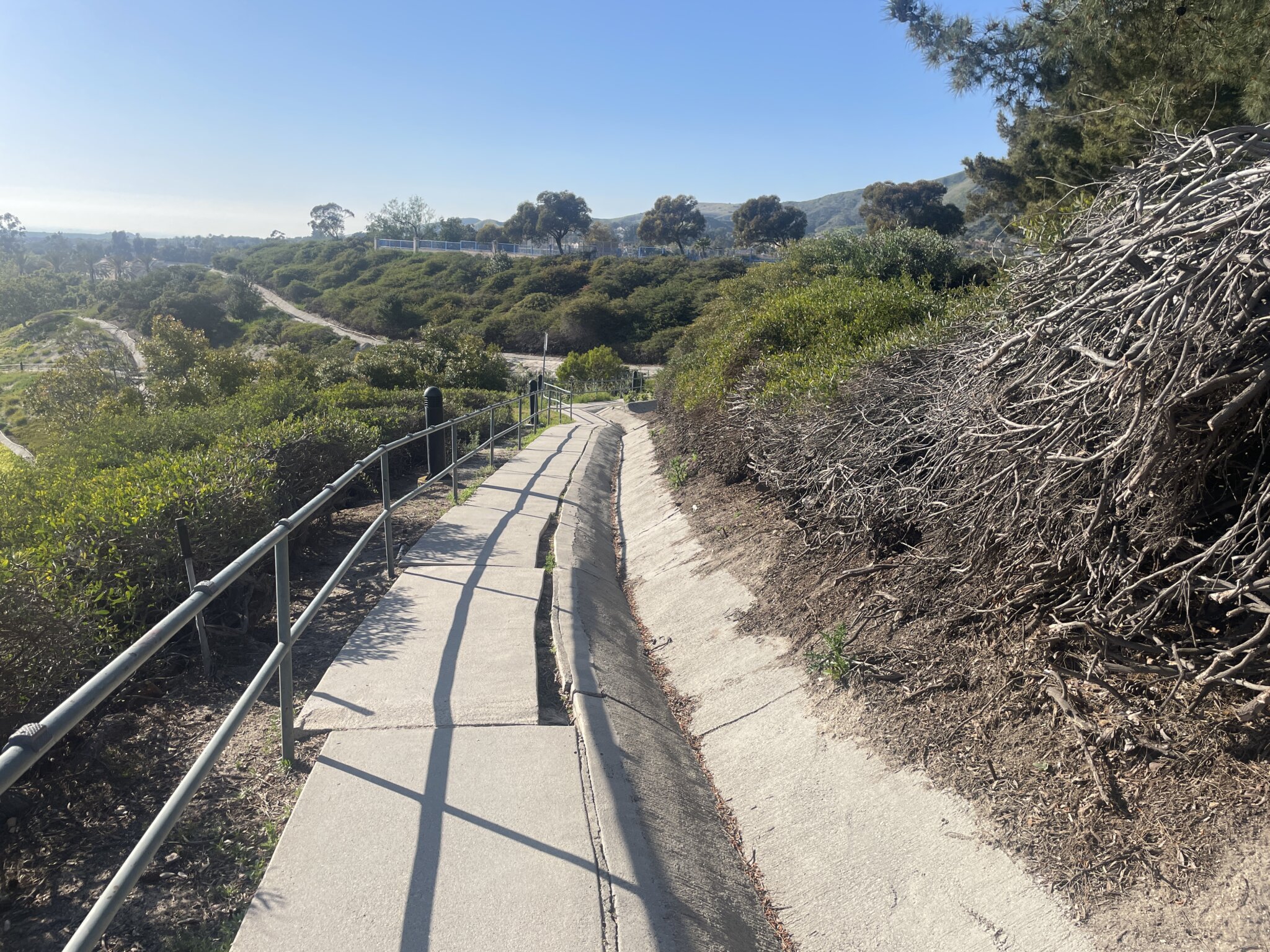 Samuel Woodward's call to Blaze Bernstein's parents played at trial – The Forward