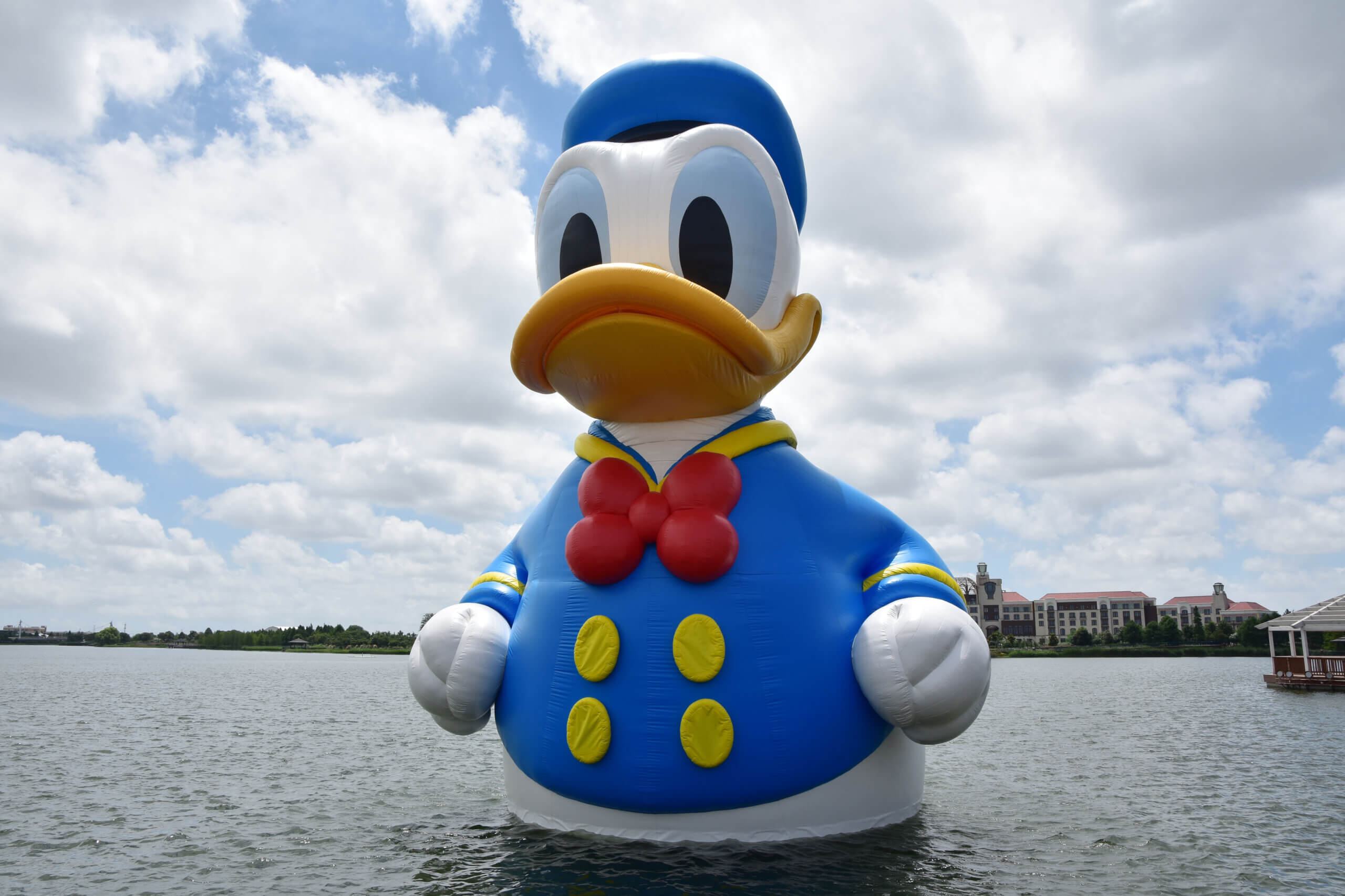 Duck Everlasting: The secret Jewish history of Donald Duck – The Forward