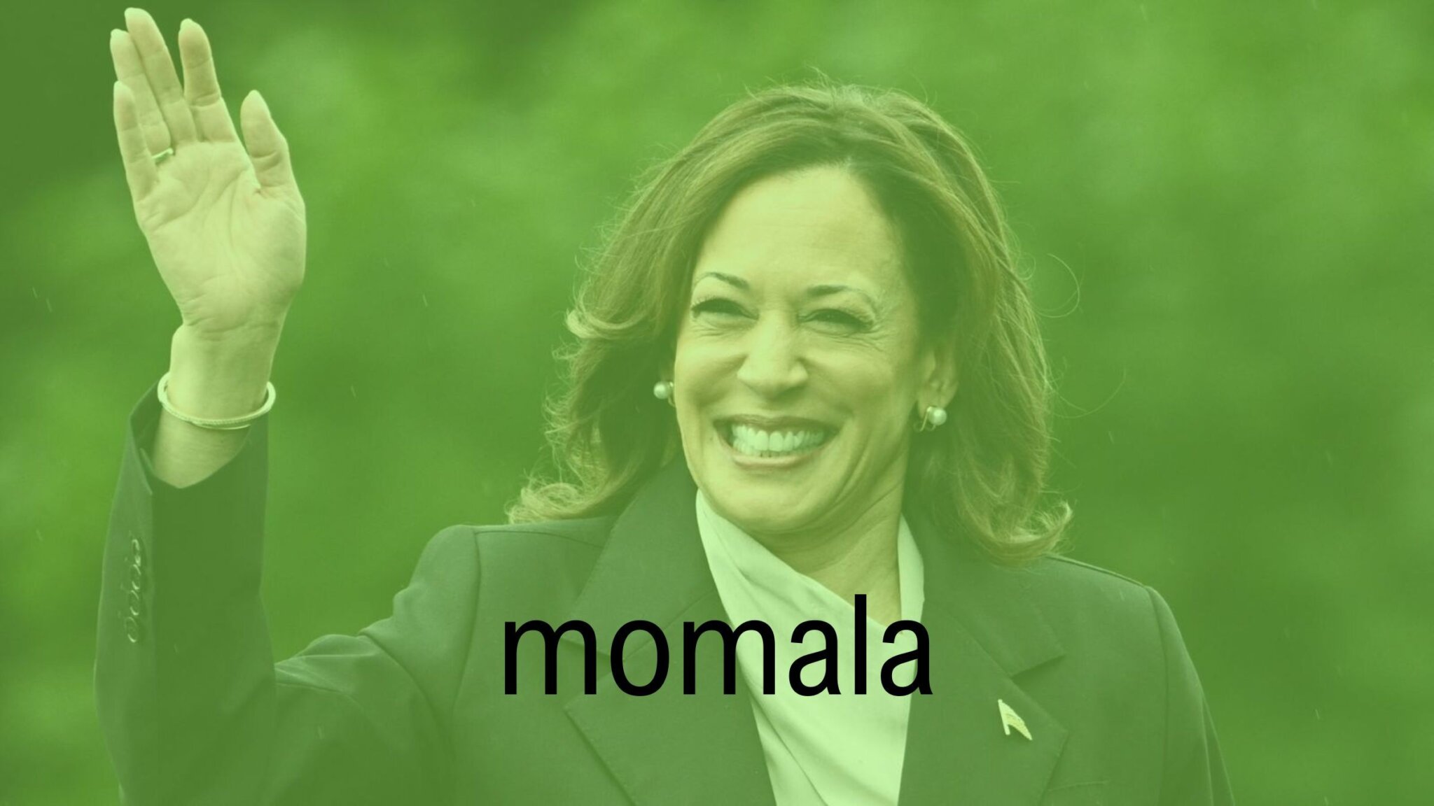 Momala Kamala Harris: The nickname's meaning for Election 2024 – The Forward