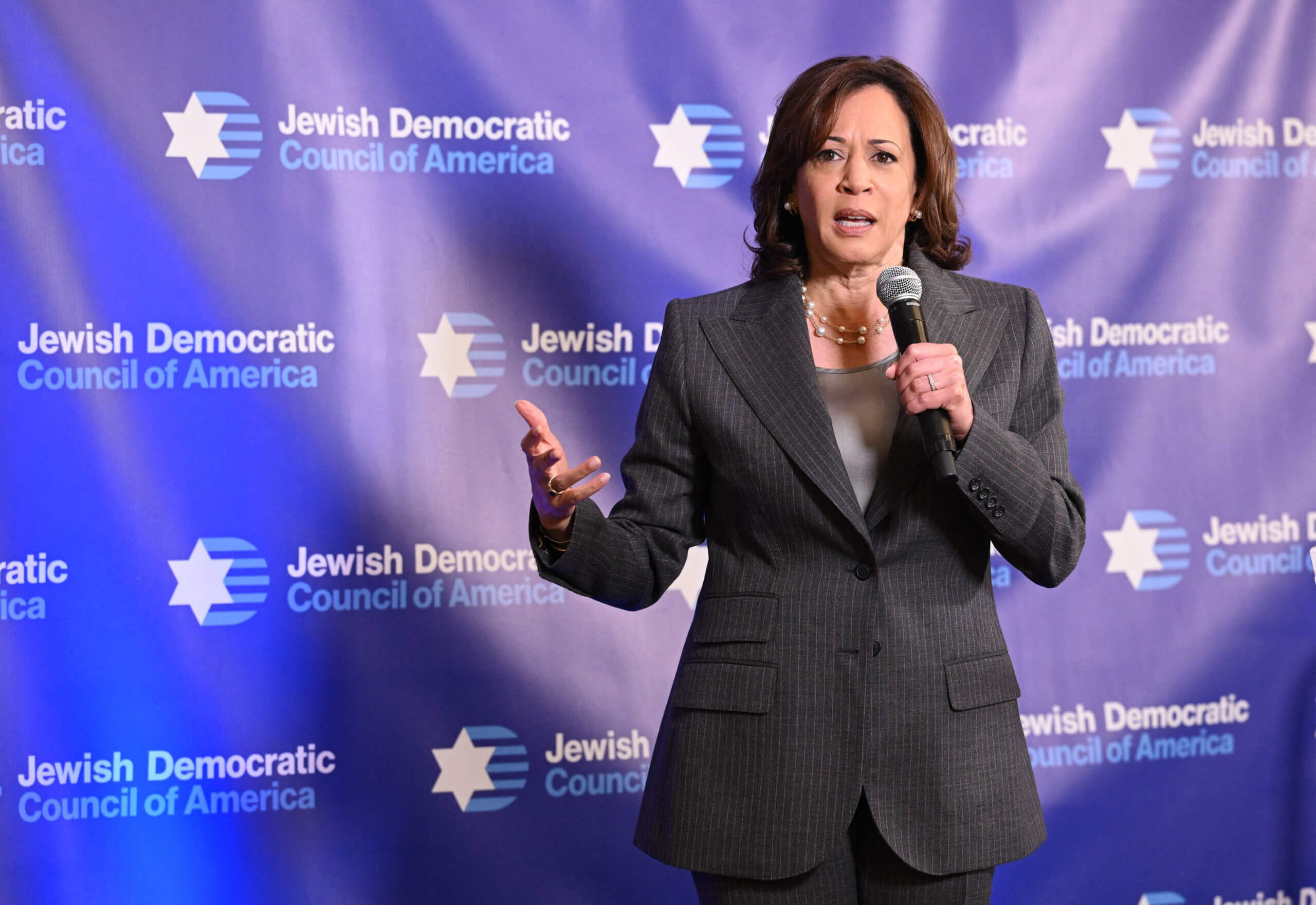 Jewish Democratic leaders praise Harris for support Israel, Gazans ...
