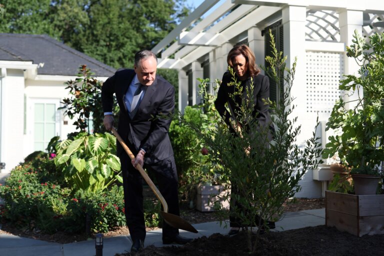 Why Jews see pomegranates as symbols of both love and war – The Forward