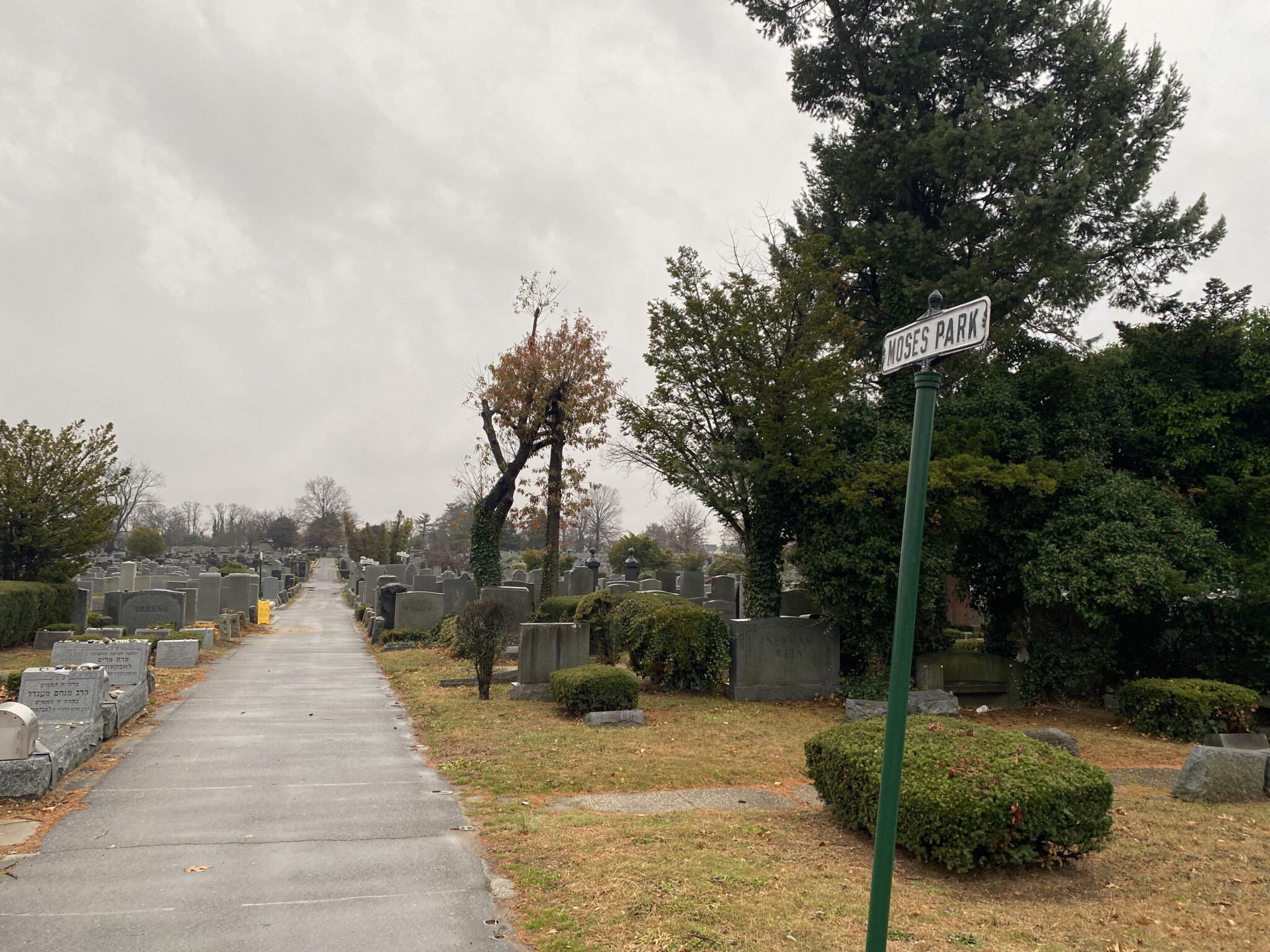 What is the Ohel? Mayor Adams, Trump visit Chabad Rebbe grave – The Forward
