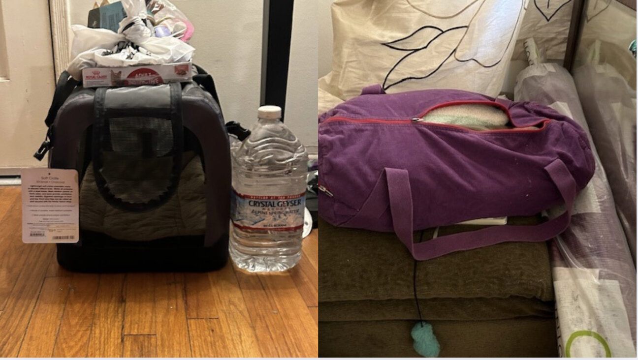 On fleeing Nazis, Cossacks, wildfires and ICE — 'go bag' in hand – The ...