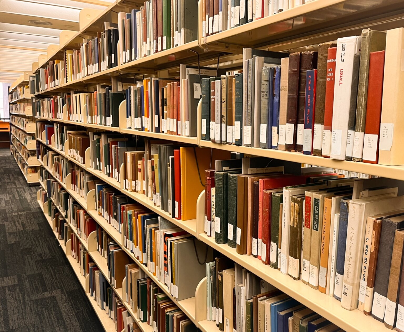 Yiddish in Texas: An unexpected language is still riding the bronco ...