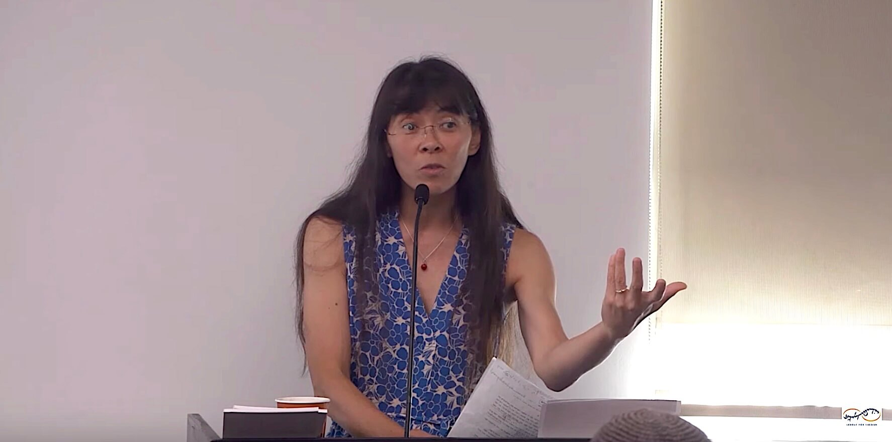 VIDEO: Literature scholar Miriam Trinh on Chaim Grade’s novel ‘Sons and ...