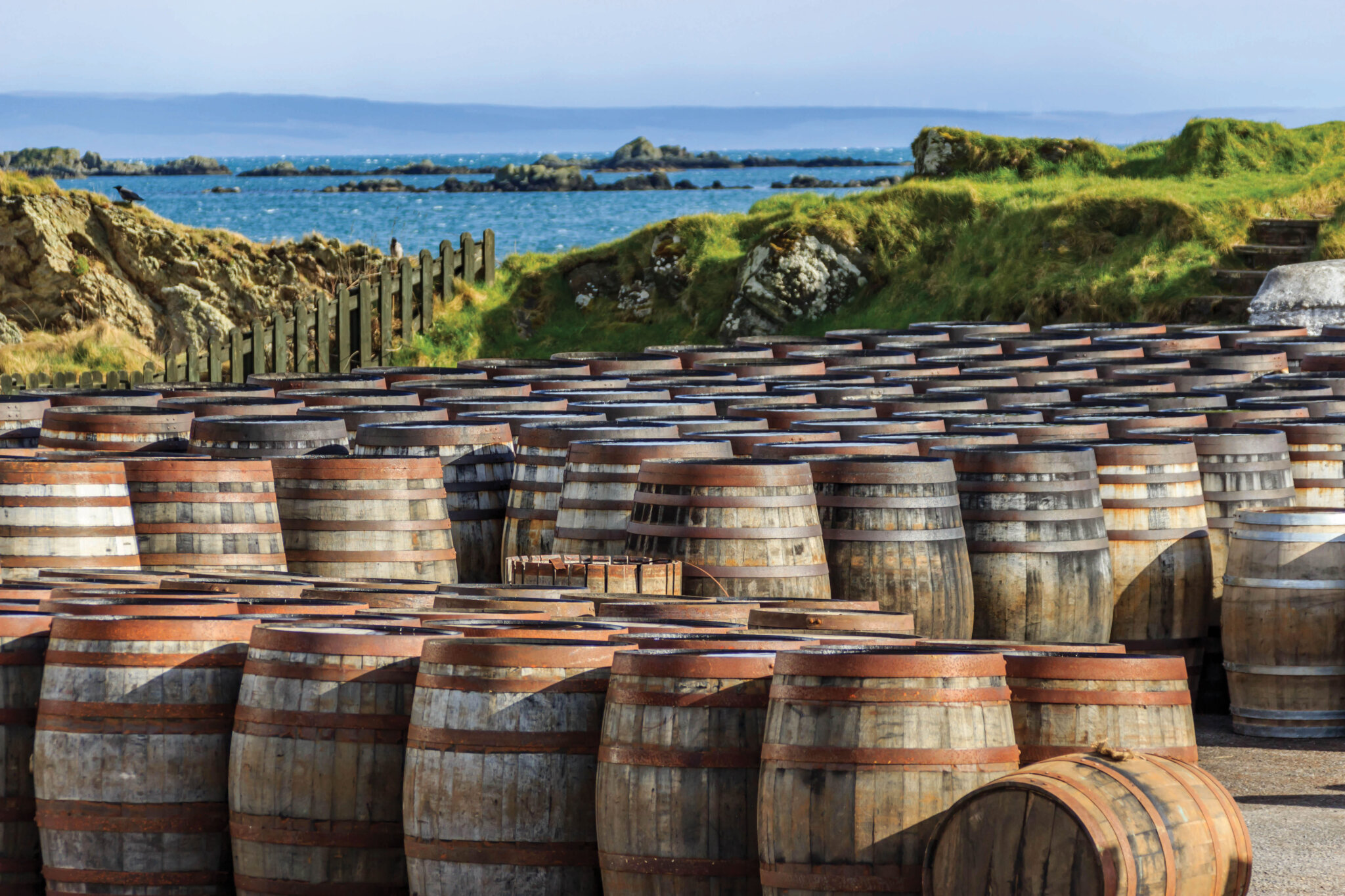 Why the history of whisky is a lot more Jewish than you think – The Forward